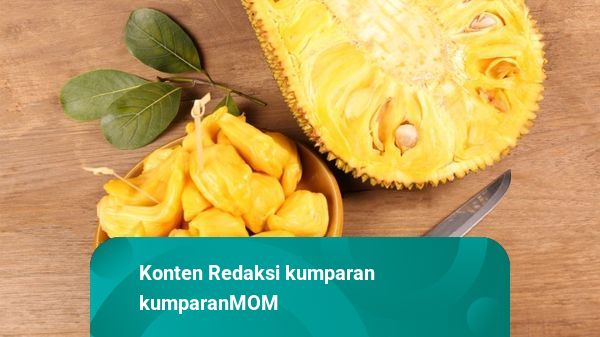 Ibu Hamil Boleh Makan Nangka Homecare24